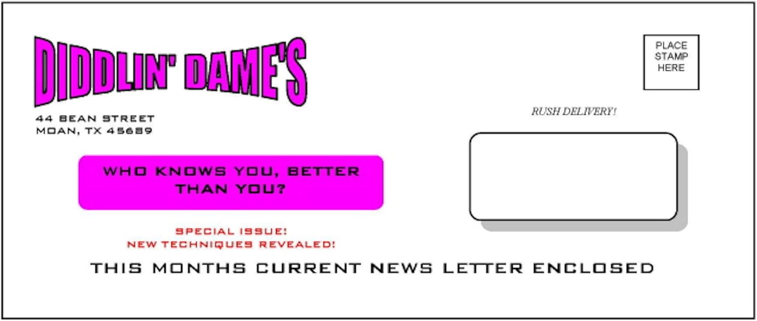 Amazon.com : Diddlin Dames Prank Envelope : Business Envelopes : Office ...