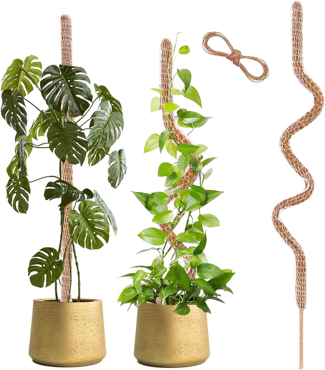 Amazon.com: HuiPoLii Moss Poles, 1 Pack 46in Natural Coco Coir Moss ...