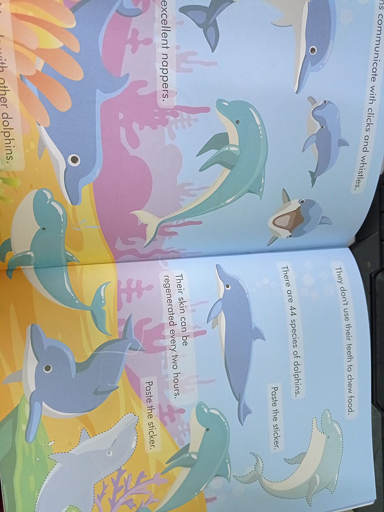 Buy Explore the Sea Activity Book with Stickers and 3D Models Book ...