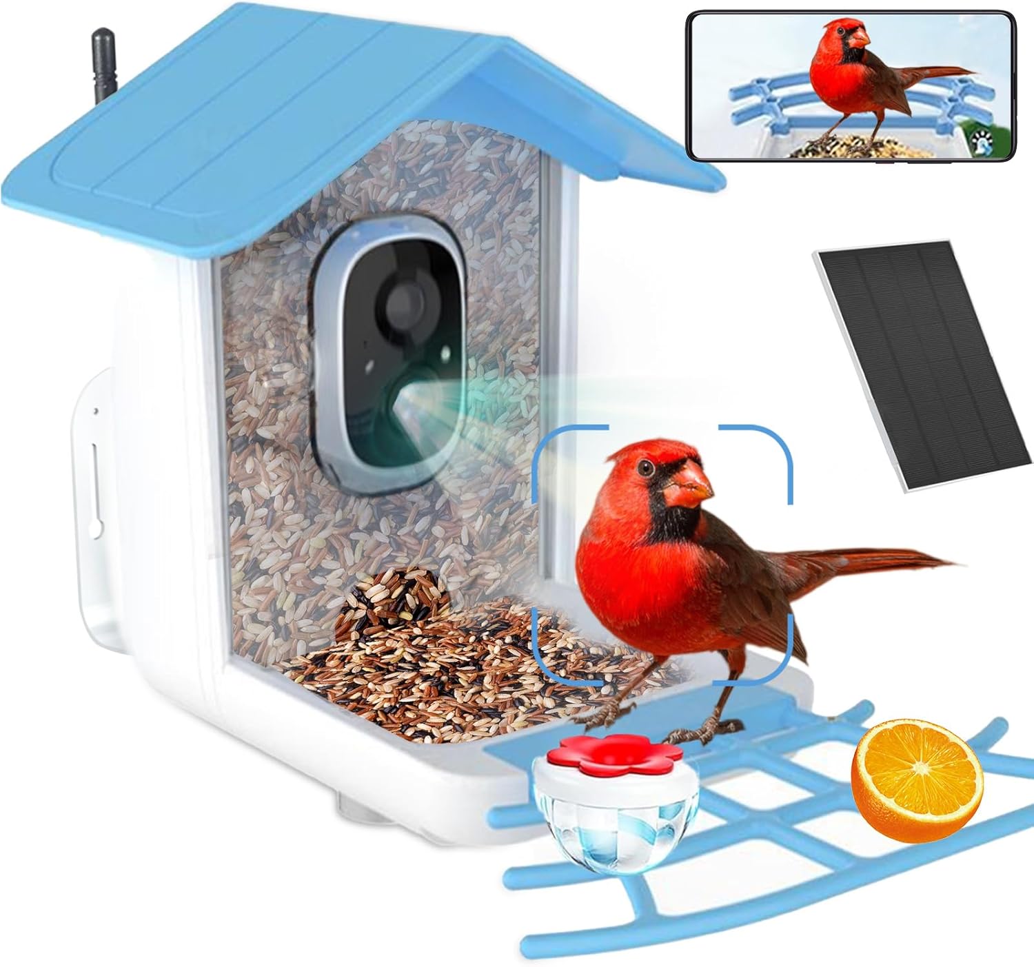 Amazon.com : Bird Feeder with Camera, AI Identify 10000+ Bird Feeder ...
