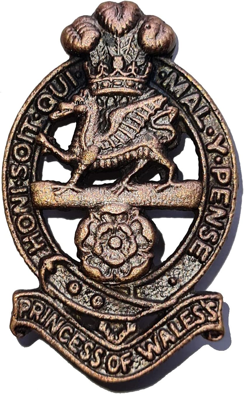 Princess of Wales's Royal Regiment PWRR Cap Badge : Amazon.co.uk: Fashion