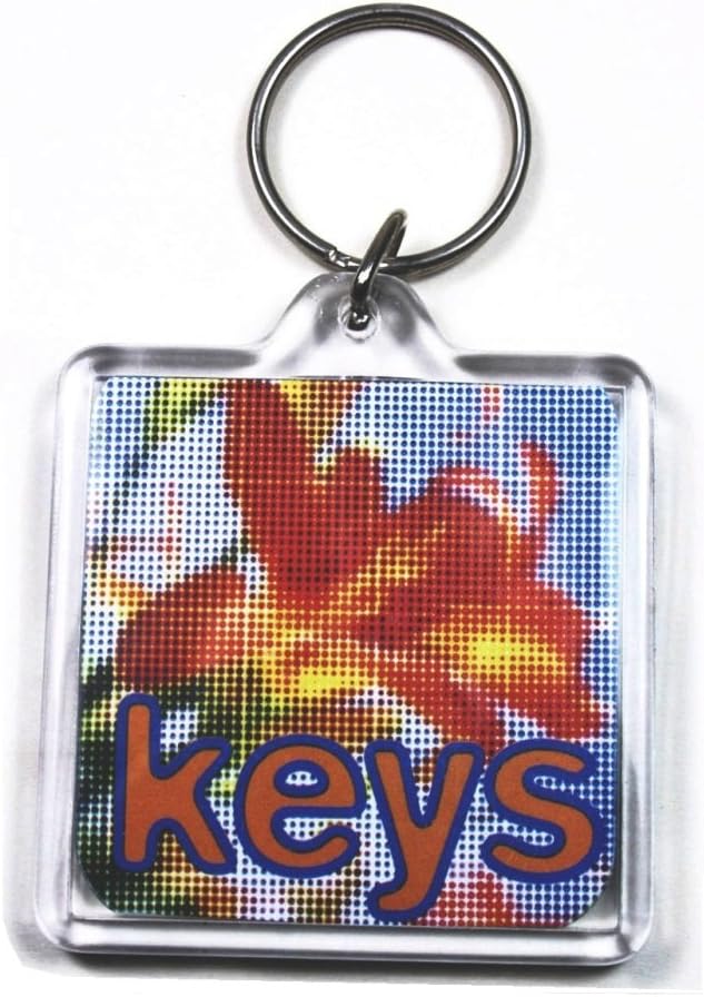 5 Large Round Blank Photo Keyrings 45 mm Diameter Insert 96506 : Amazon ...