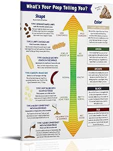 Amazon.com: Bristol Stool Chart Poster Gastrointestinal Health Chart ...