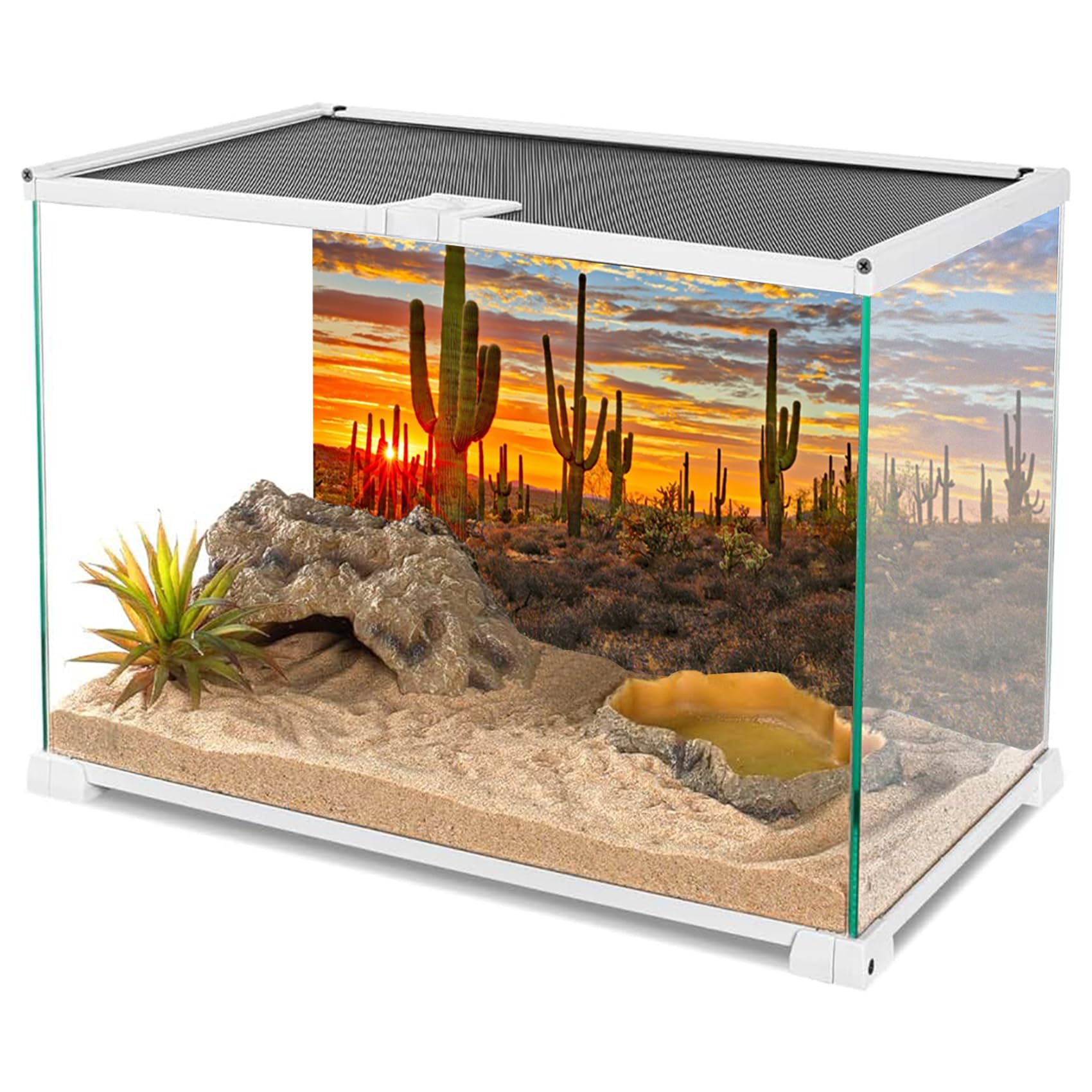 Snapklik.com : Reptile Terrarium Background 36x20 Inch Western ...