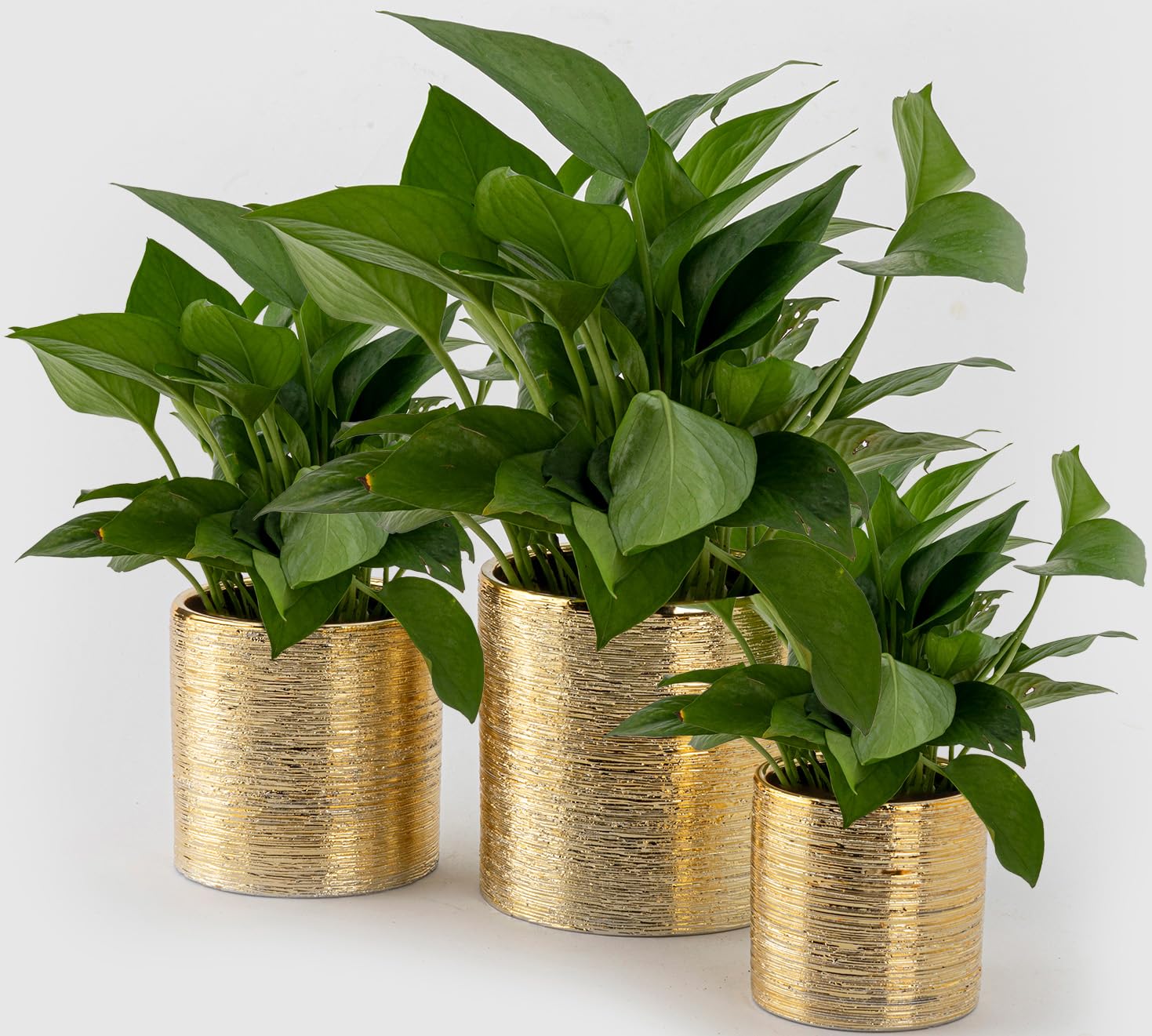 Amazon.com: ROMANDECO CRAFT Indoor Plant Pot Flower Holder Ceramic ...