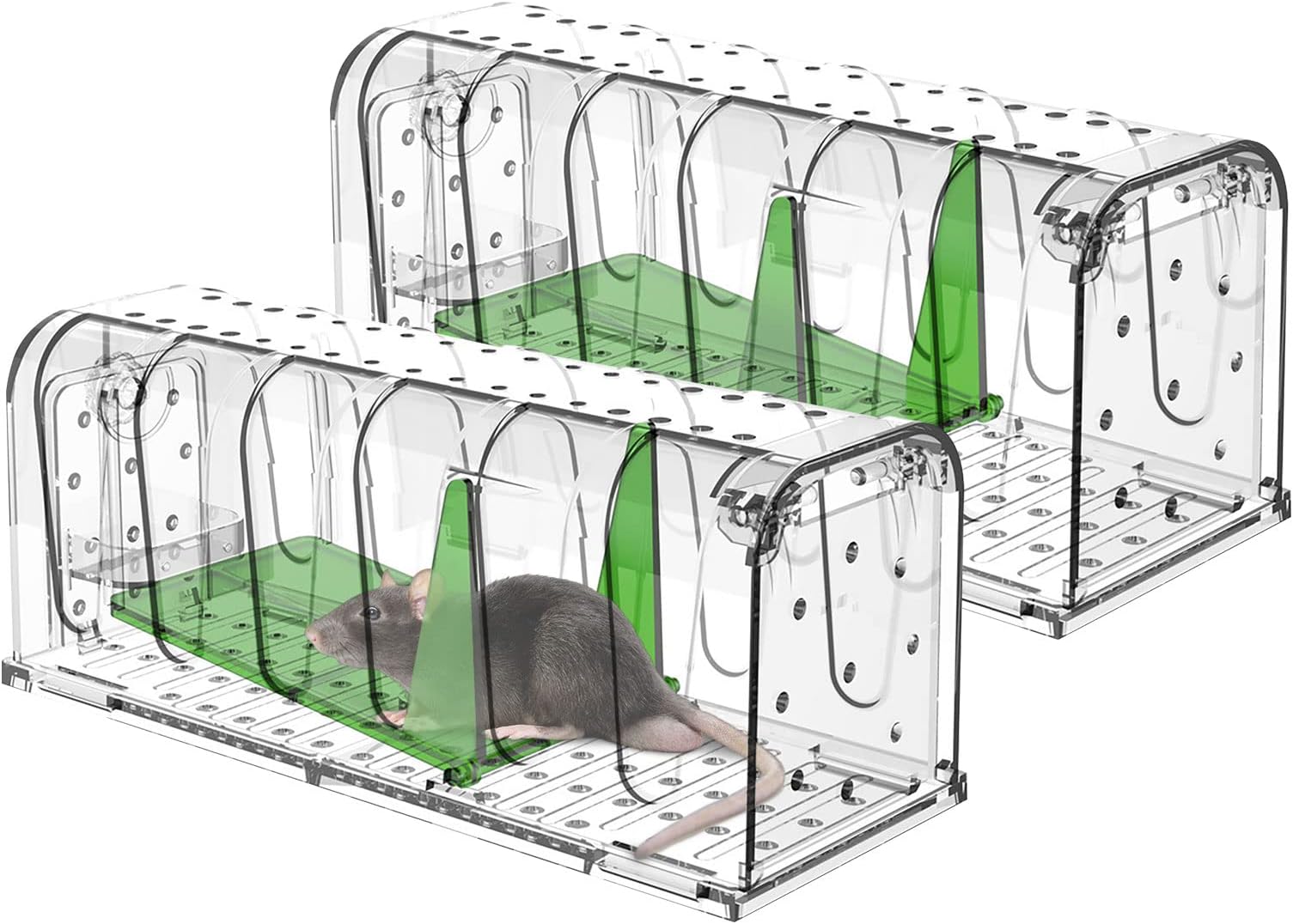 Green Haven Reusable Mouse Trap – 6 Pack Mouse Traps for Indoors and ...