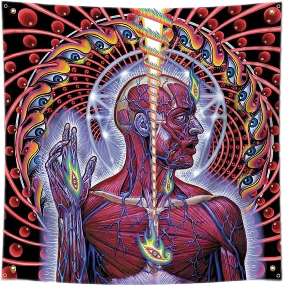 Amazon.com: Flgsuitall Tool Lateralus Banner Huge Poster Tapestry Flag ...