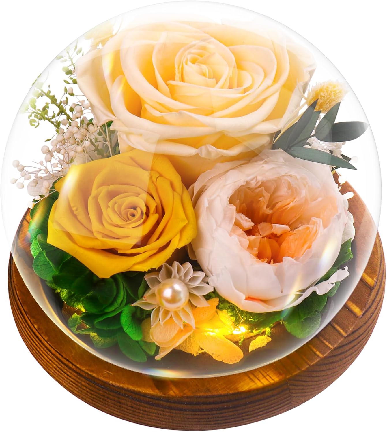 Amazon.com: Christmas Rose Gifts for Women Mom Grandma - Preserved ...