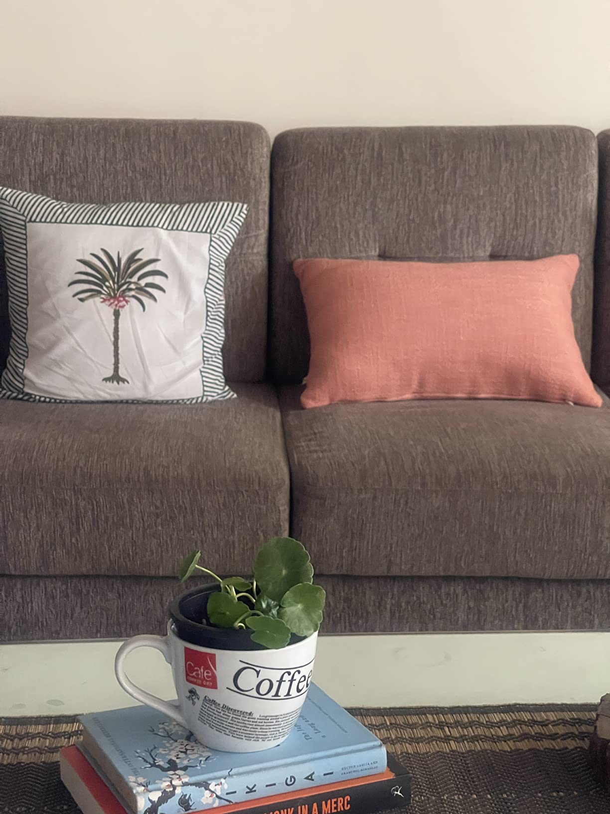 Vijuka Pilea Peperomioides Indoor Plants for Living Room Chinese Money ...