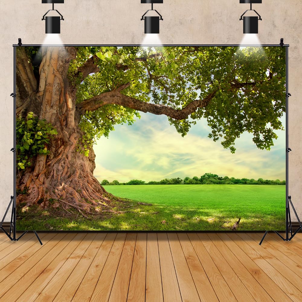 Amazon.com : 9x6ft Spring Huge Tree Backdrop Spring Nature Scenery ...