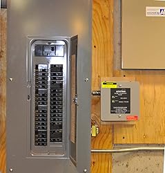 Leviton 51120-1 120/240 Volt Panel Protector, 4-Mode Protection, Light ...