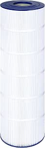 Amazon.com : Wowreed Pool Filter Compatible with C1900RE, Pro Clean 200 ...