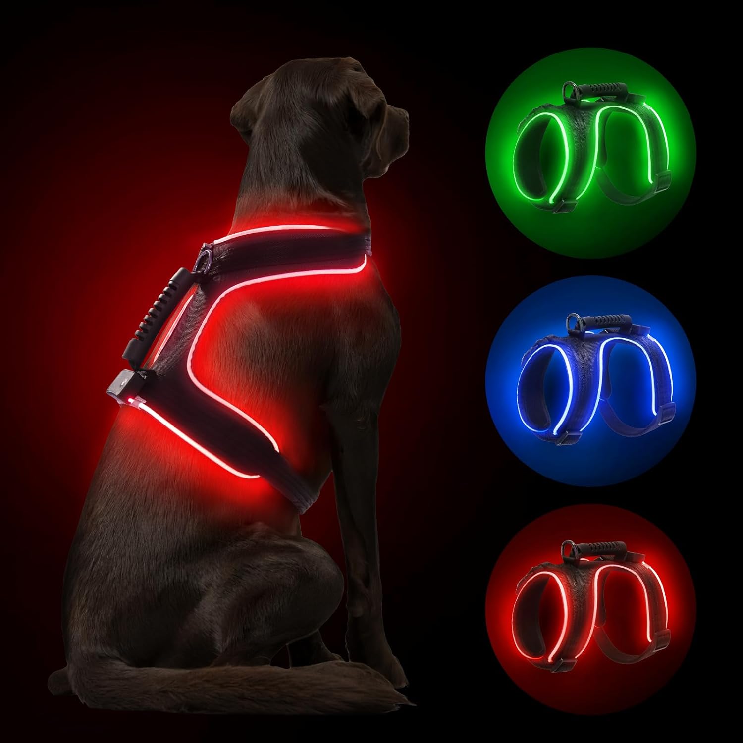 Amazon.com : MASBRILL Led Dog Harness - No Pull Light Up Dog Harness ...