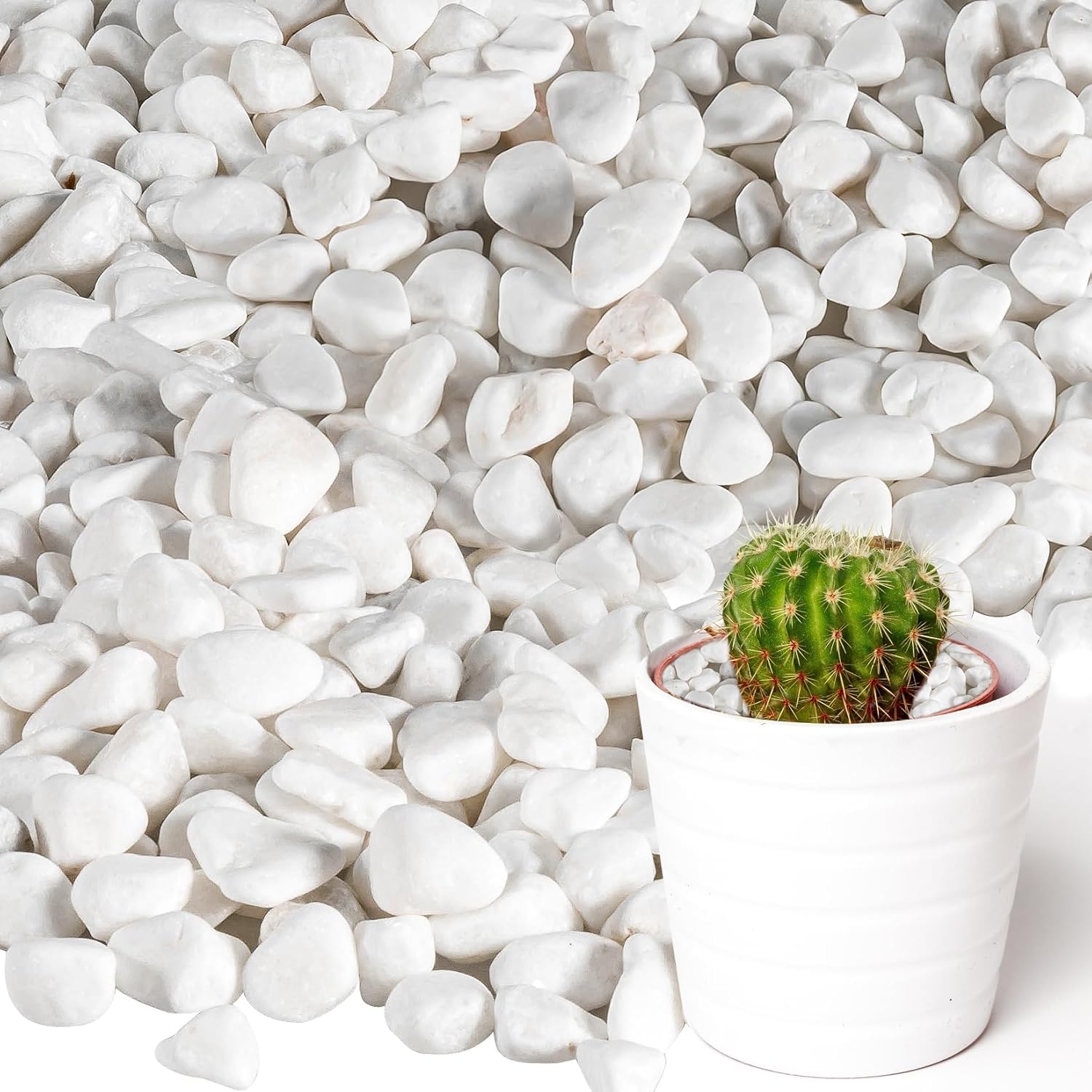 Amazon.com: Sukh White Pebbles - Mini Decorative Rocks, White Stones ...