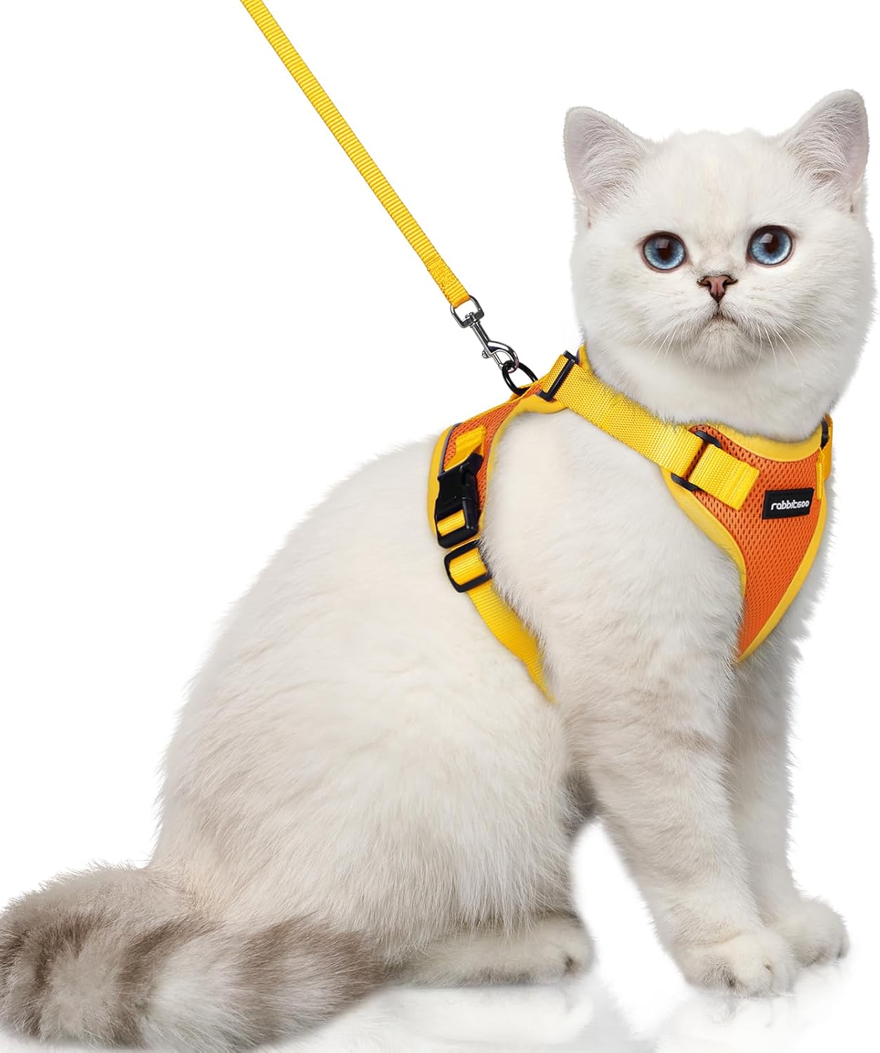 Pet Supplies : rabbitgoo Cat Harness and Leash Set, Escape Proof Soft ...