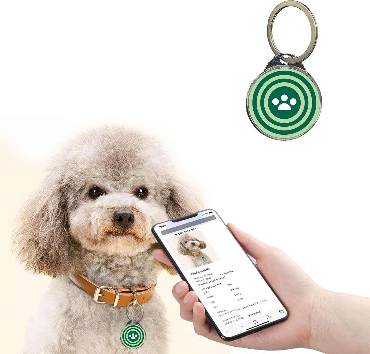Amazon.com: RexID Small Dog Tag Green Round Mini QR Code Pet ID Tags ...