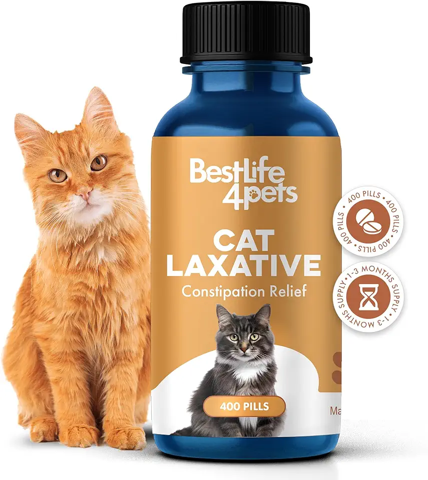 Relieving Cat Constipation: Simple Home Remedies For Quick Relief | PetShun