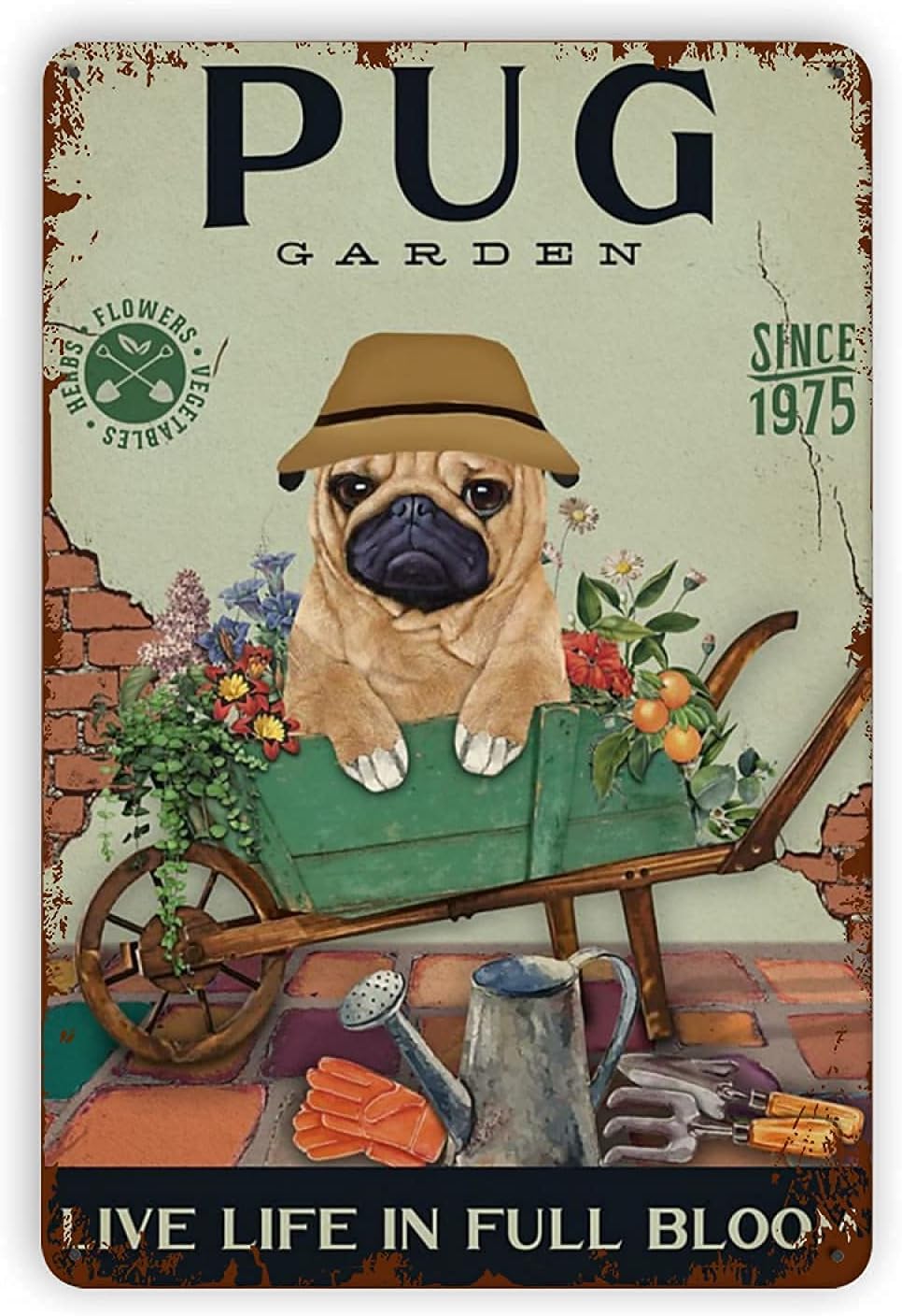 Amazon.com : Pug Knowledge Metal Tin Sign Anatomy Of A Pug Funny Poster ...