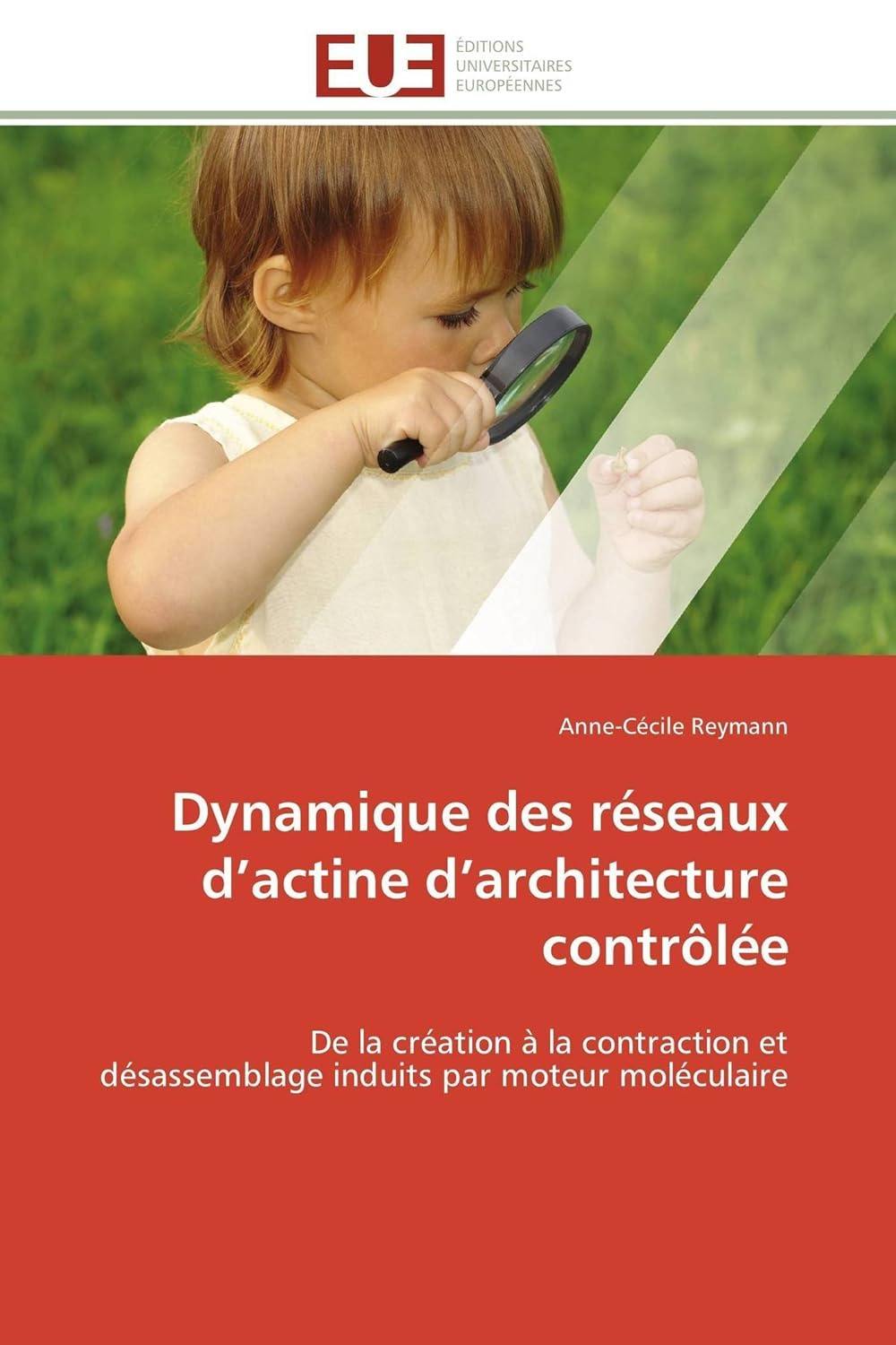 Amazon.com: Dynamique des réseaux d’actine d’architecture contrôlée: De ...