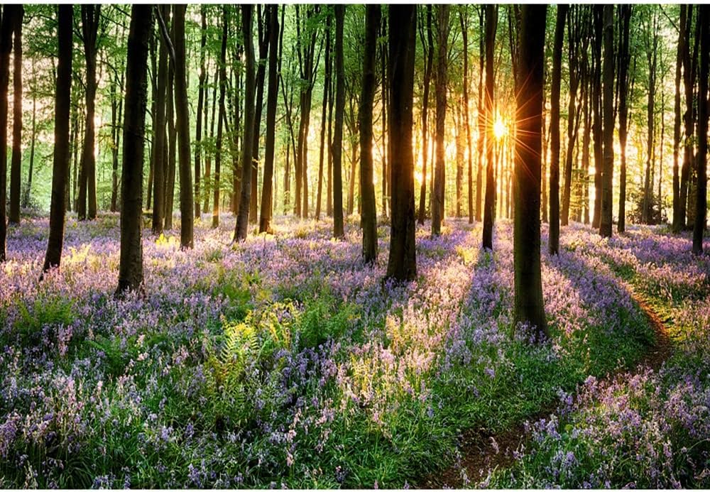 Aoihrraan 2,2x1,5m Violets Forest Backdrop Purple Flowers Woods ...