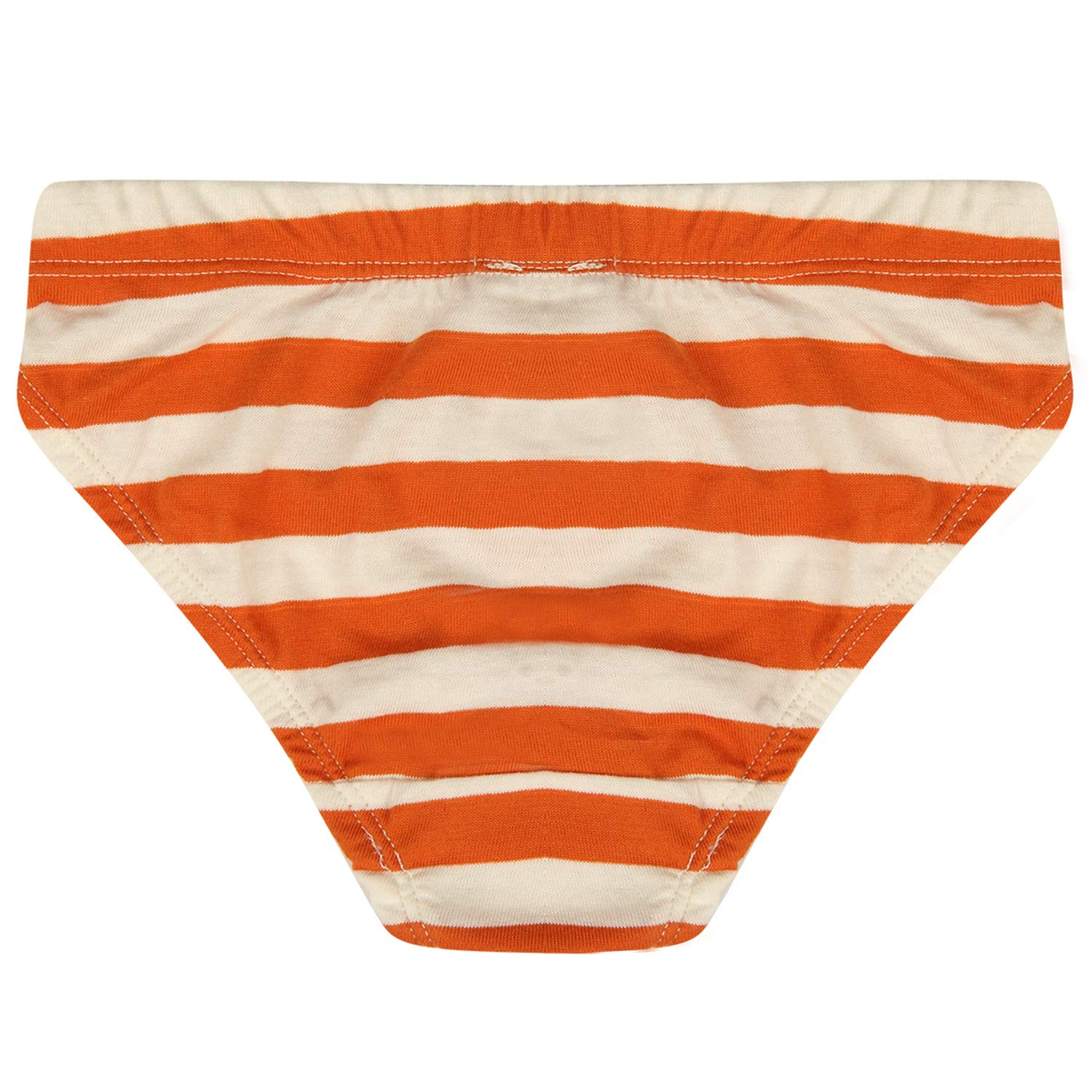 Buy CHARM N CHERISH Boy's Briefs 100% Cotton Multicolor/Innerwear ...