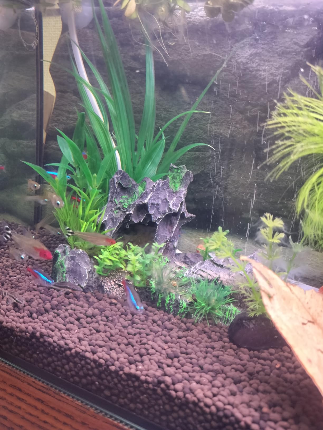 Amazon | ジェックス GEX 癒し水景 MIXプランツ ロック 黒 | ジェックス | 人工水草 通販