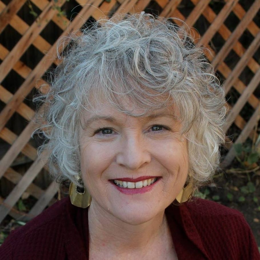 Amazon.com: Lauri Chamberlin: books, biography, latest update