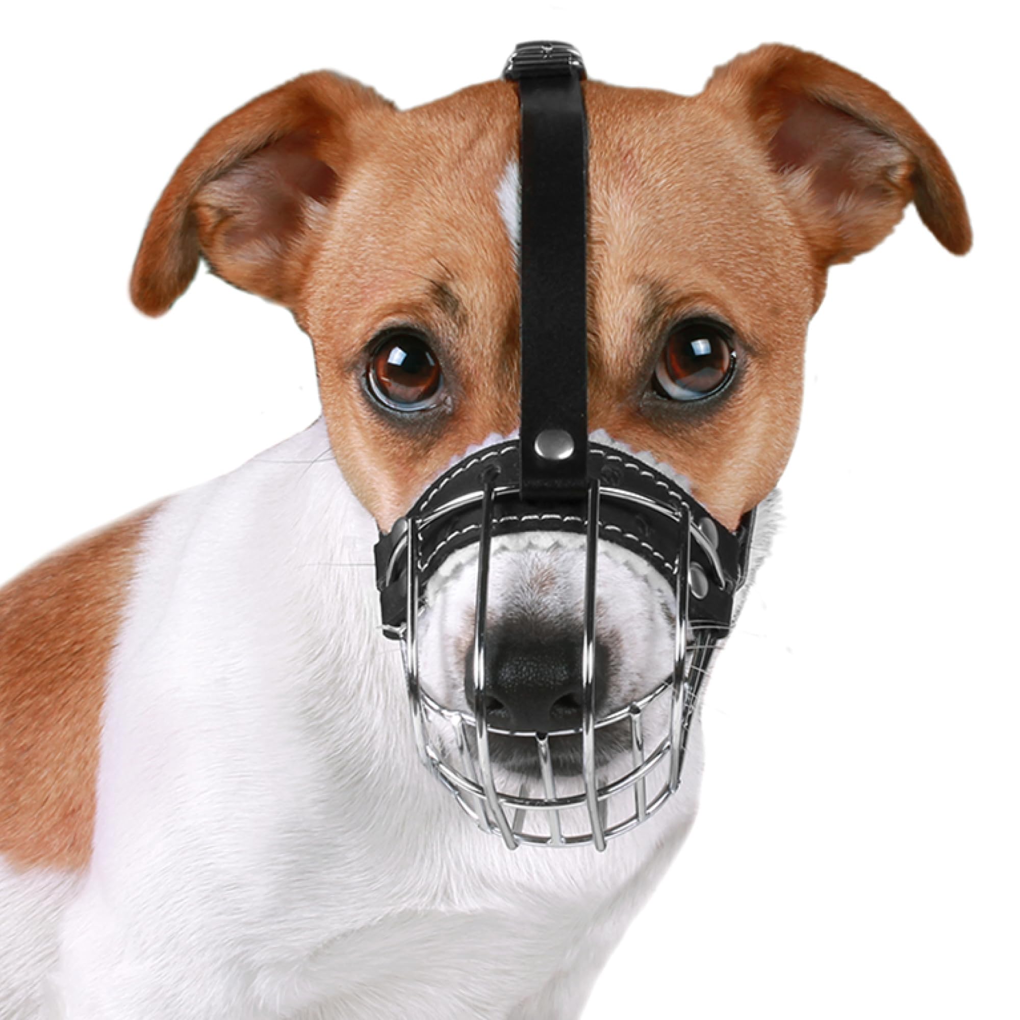 BRONZEDOG Dog Muzzle Wire Basket Metal Mask for Medium Large Dogs (Size ...