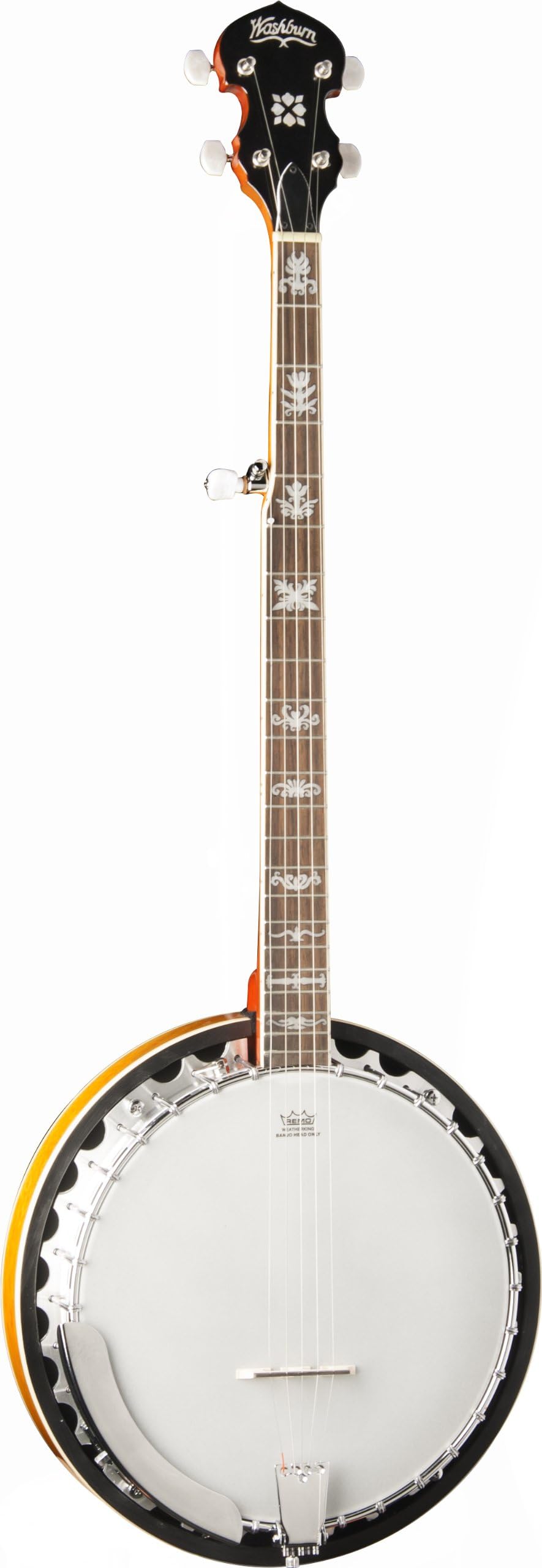 Amazon.com: Morgan Monroe, 5-String Banjo (MB-9) : Musical Instruments