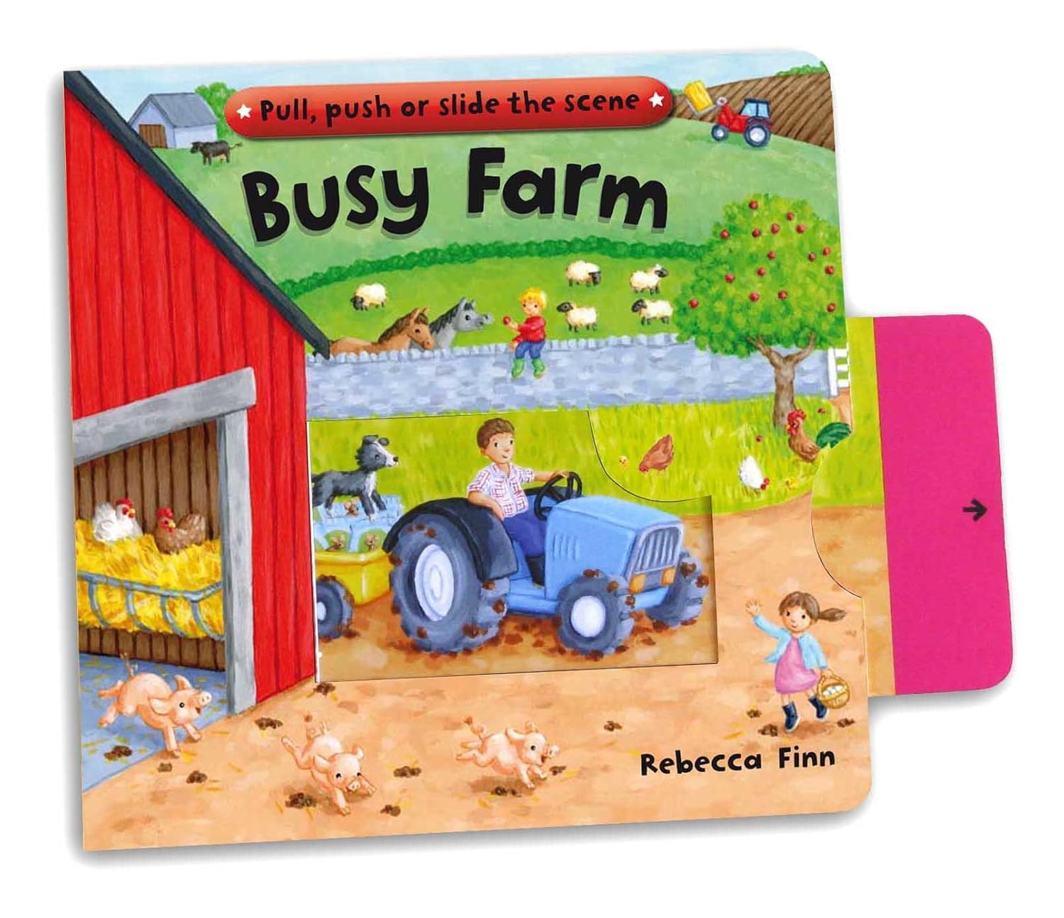 Busy Books: Busy Farm: Amazon.co.uk: Finn, Rebecca: 9780230739871: Books