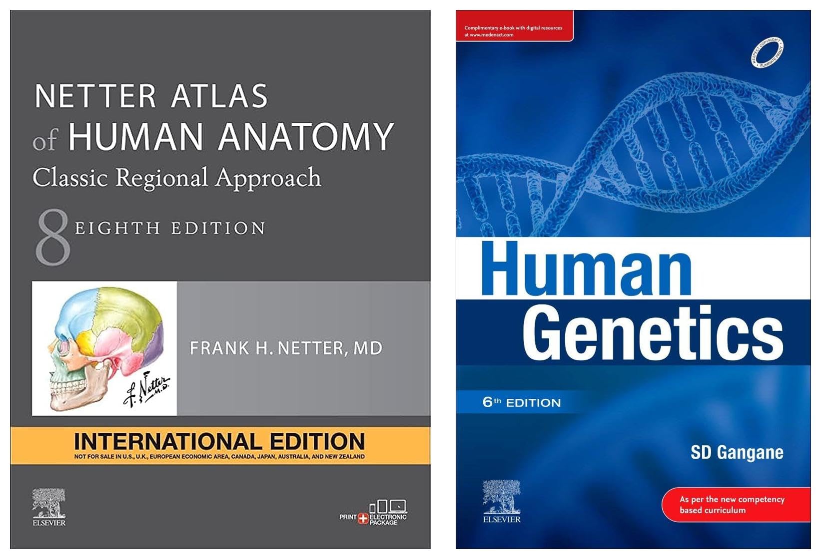 Buy Netter Atlas of Human Anatomy: Classic Regional Approach ...