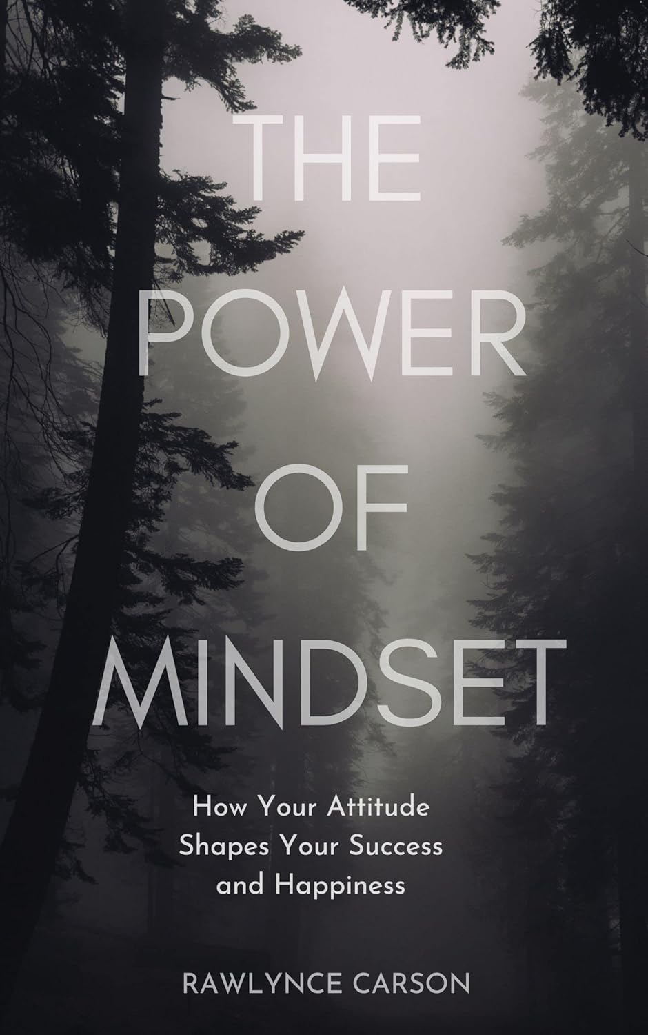 Amazon.com: The Power of Mindset: How Your Attitude Shapes Your Success ...
