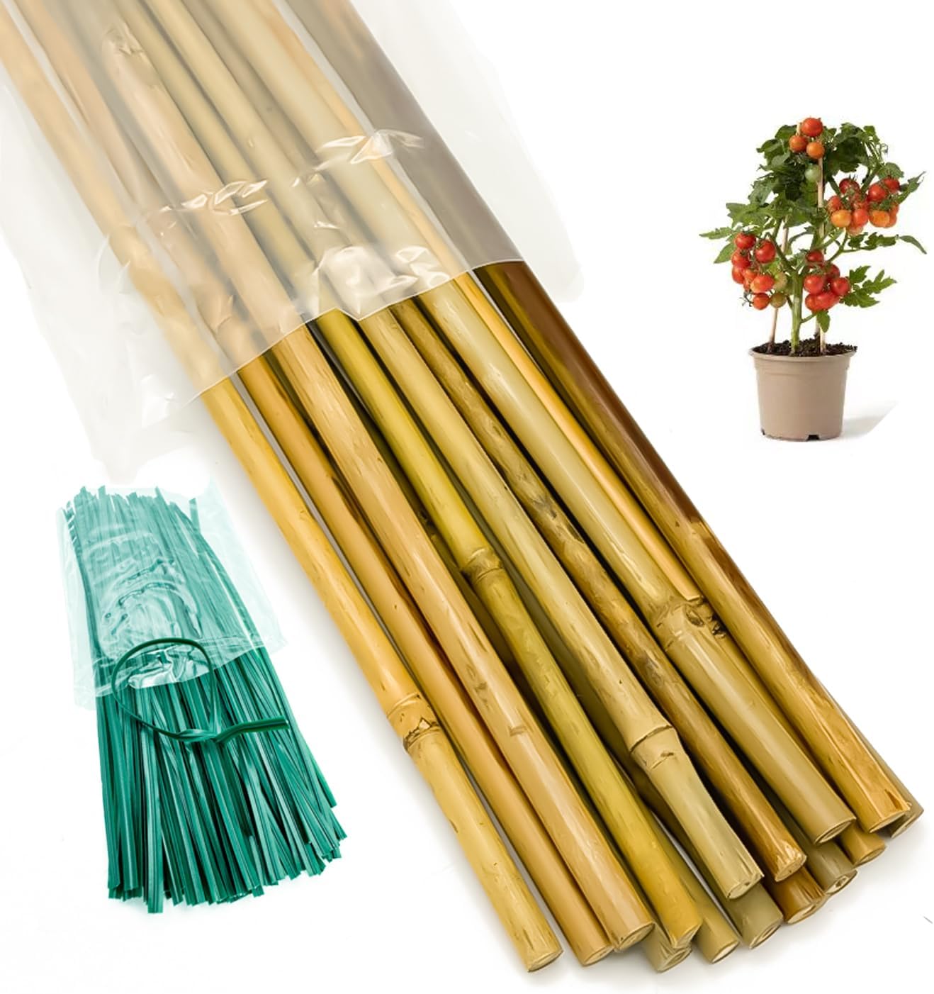 Amazon.com : GXXMEI 100PCS 18" Plant Sticks Support with 100PCS Green ...