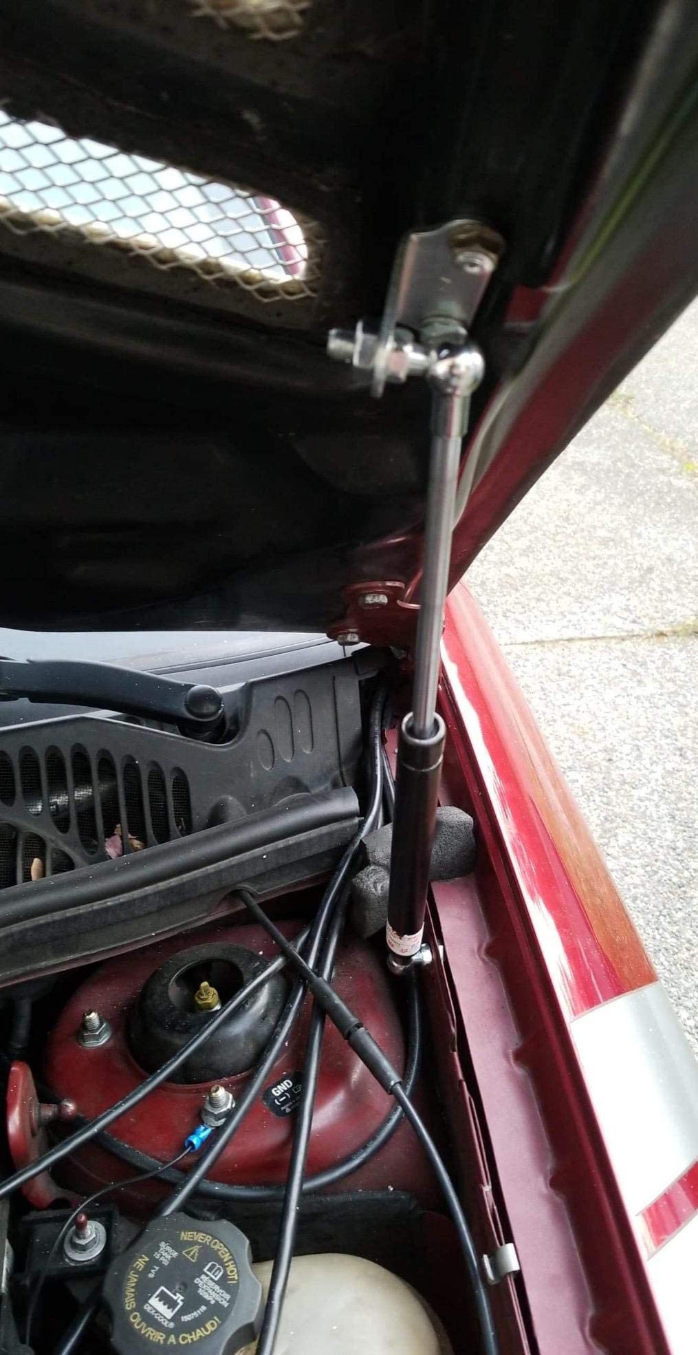 Buy Apexstone 100N/22.5lb Gas Struts 15 inch Gas Strut Lift Support Gas ...