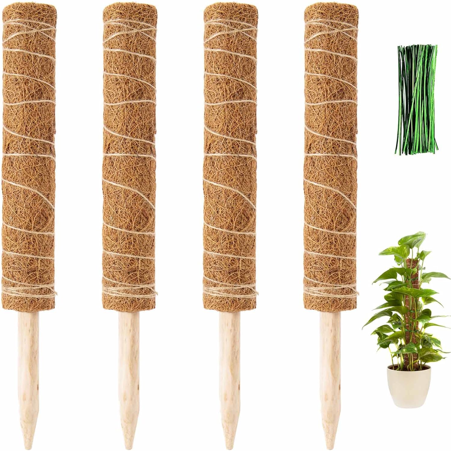 Amazon.com : 4pcs Monstera Moss Pole for Plants - 47'' Total Plant ...