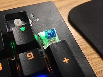 Amazon.com: Blackweb Gaming Mechanical Keyboard : Video Games