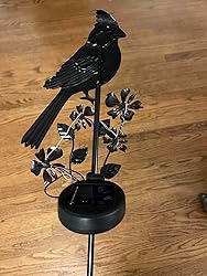 Amazon.com: Cardinal Decor Garden Stake,Solar Metal Red Cardinal ...