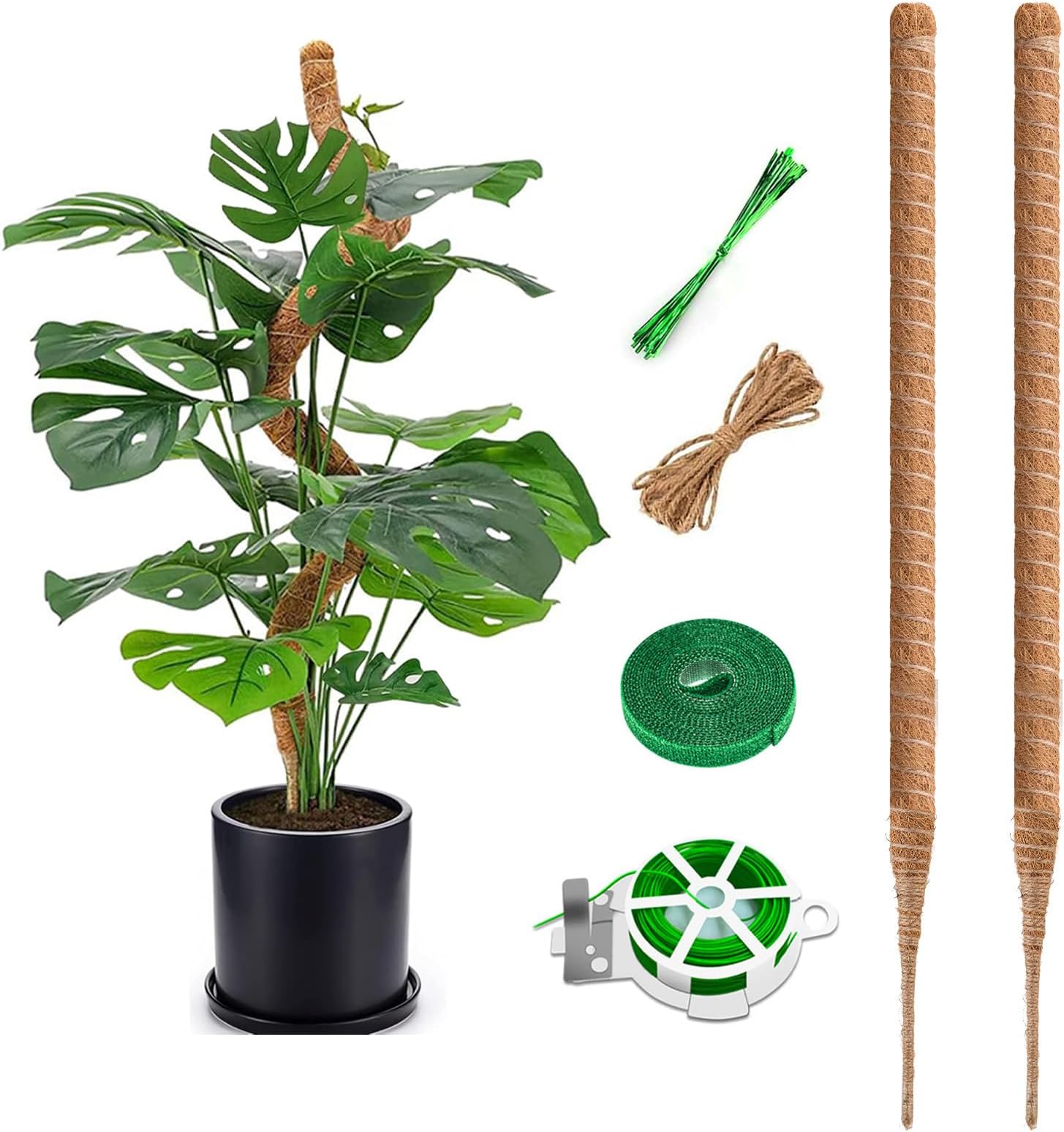 2 Pack 70cm Pflanzstab Kokos, Monstera Rankhilfe, Biegsame Moosstab für ...