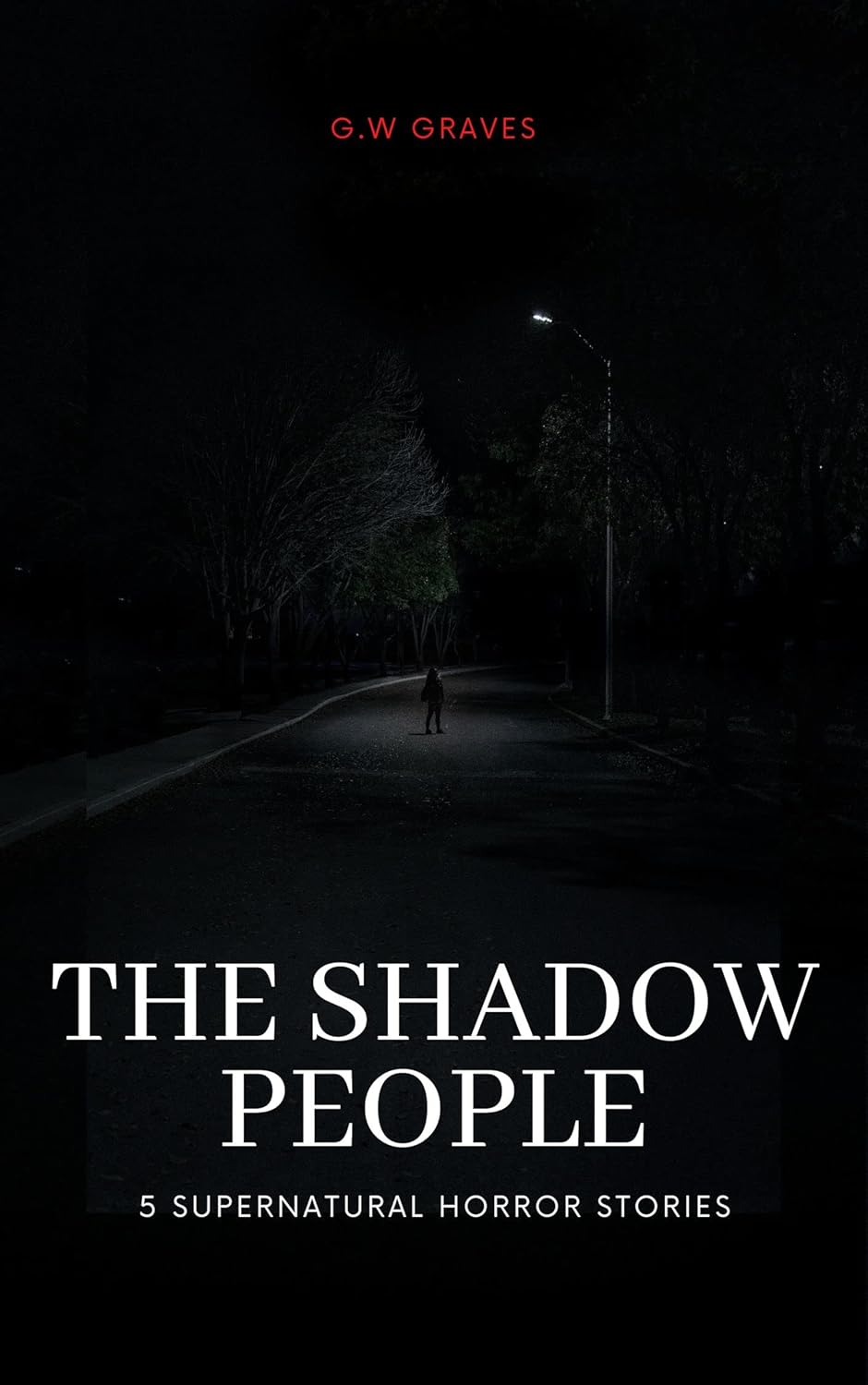 Amazon.com: The Shadow People: 5 Supernatural Horror Stories ...