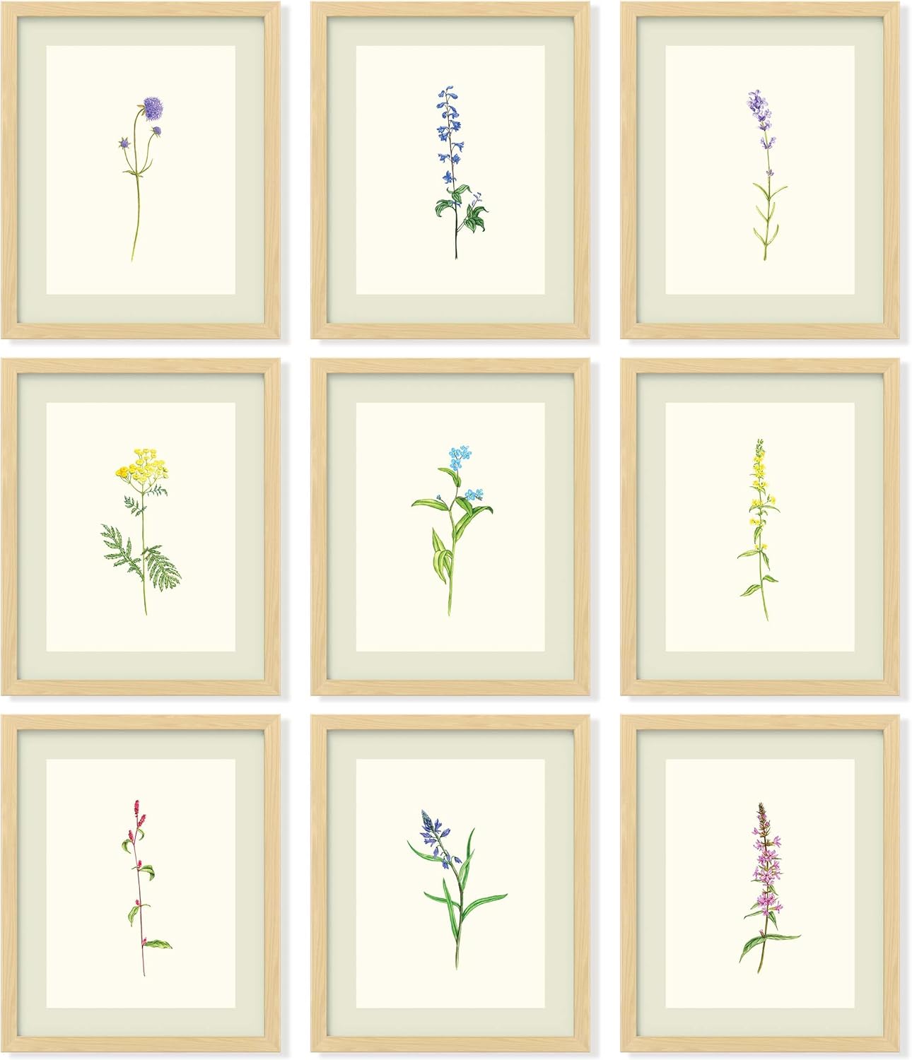 Amazon.com: 97 Decor Vintage Botanical Wall Art - Antique Botanical ...