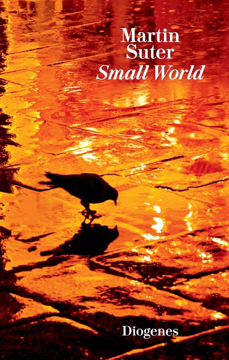 Amazon.com: Small World: 9783257261196: Suter, Martin: Books