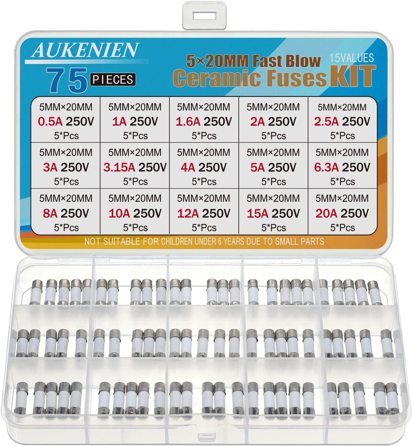 electrosmart Pack of 2 8 Amp T8A 250V 20mm x 5mm Ceramic Fuse - Time ...