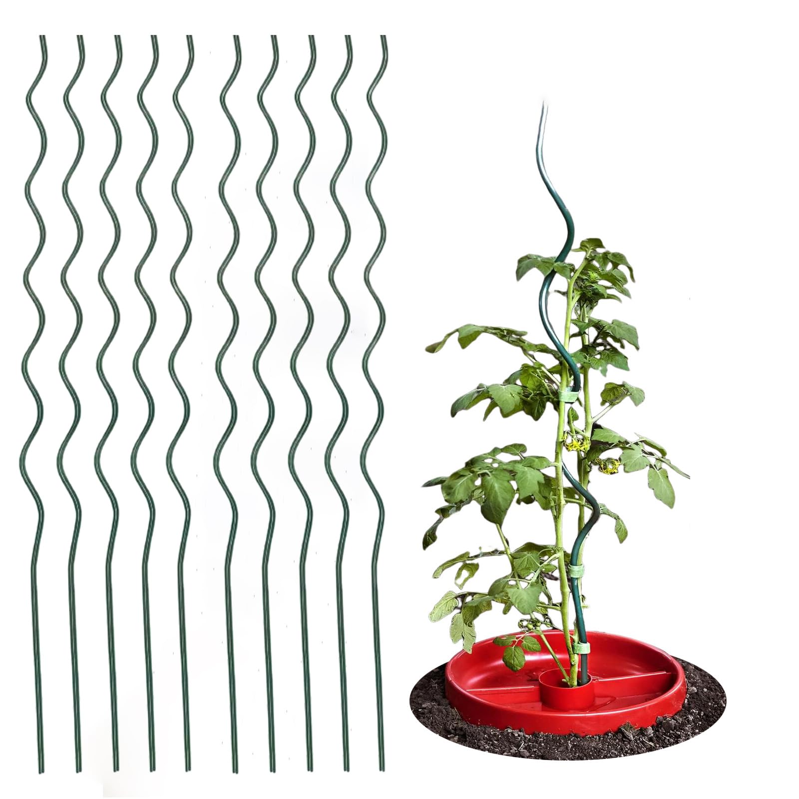 Amazon.com: Twisted Tomato Stakes Plant Supports Spiral Tomato Cages ...