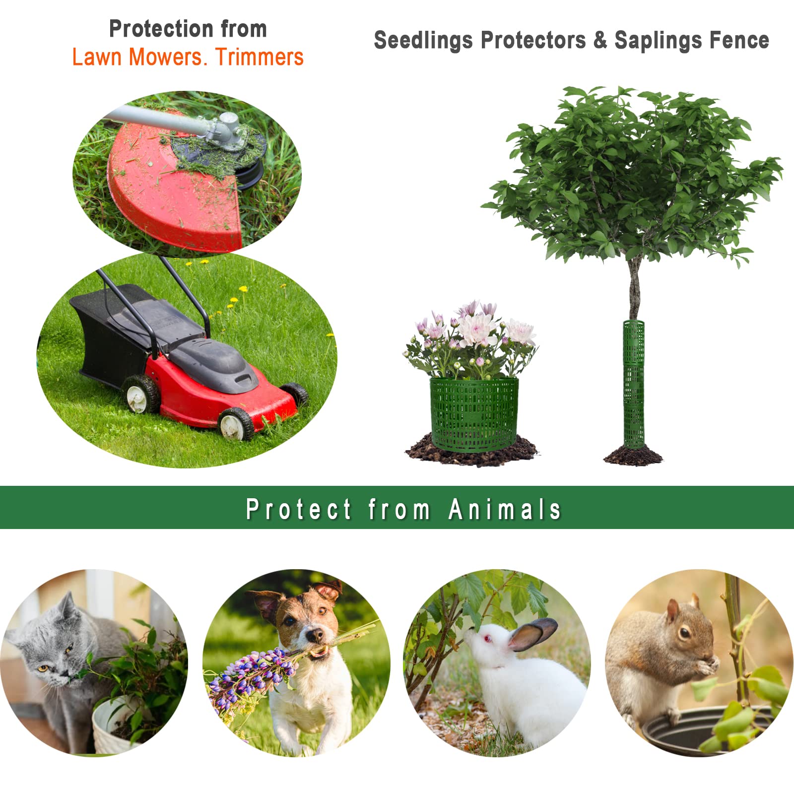 Tree Barriers For Animals Plastic Tree Guard Barrier Hi Res Stock