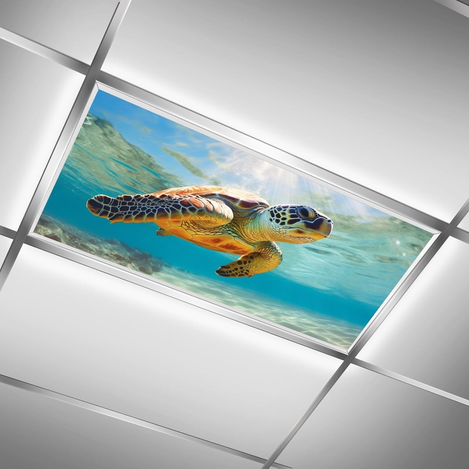 Fluorescent Light Covers For Classroom 2x4 Light Covers For Ceiling ...