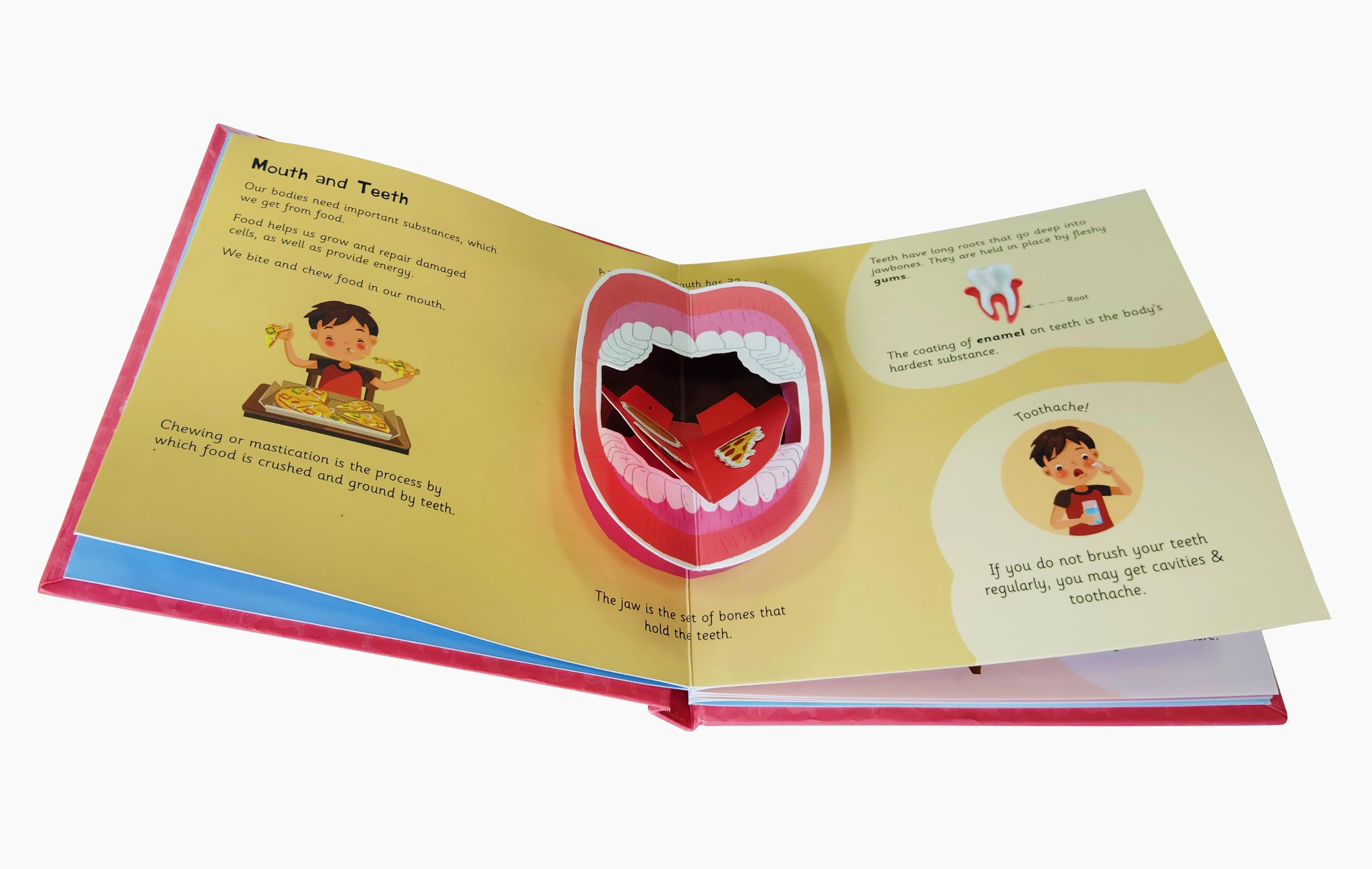 Amazing Human Body (pop-up) : Mudit Mohini: Amazon.in: Books