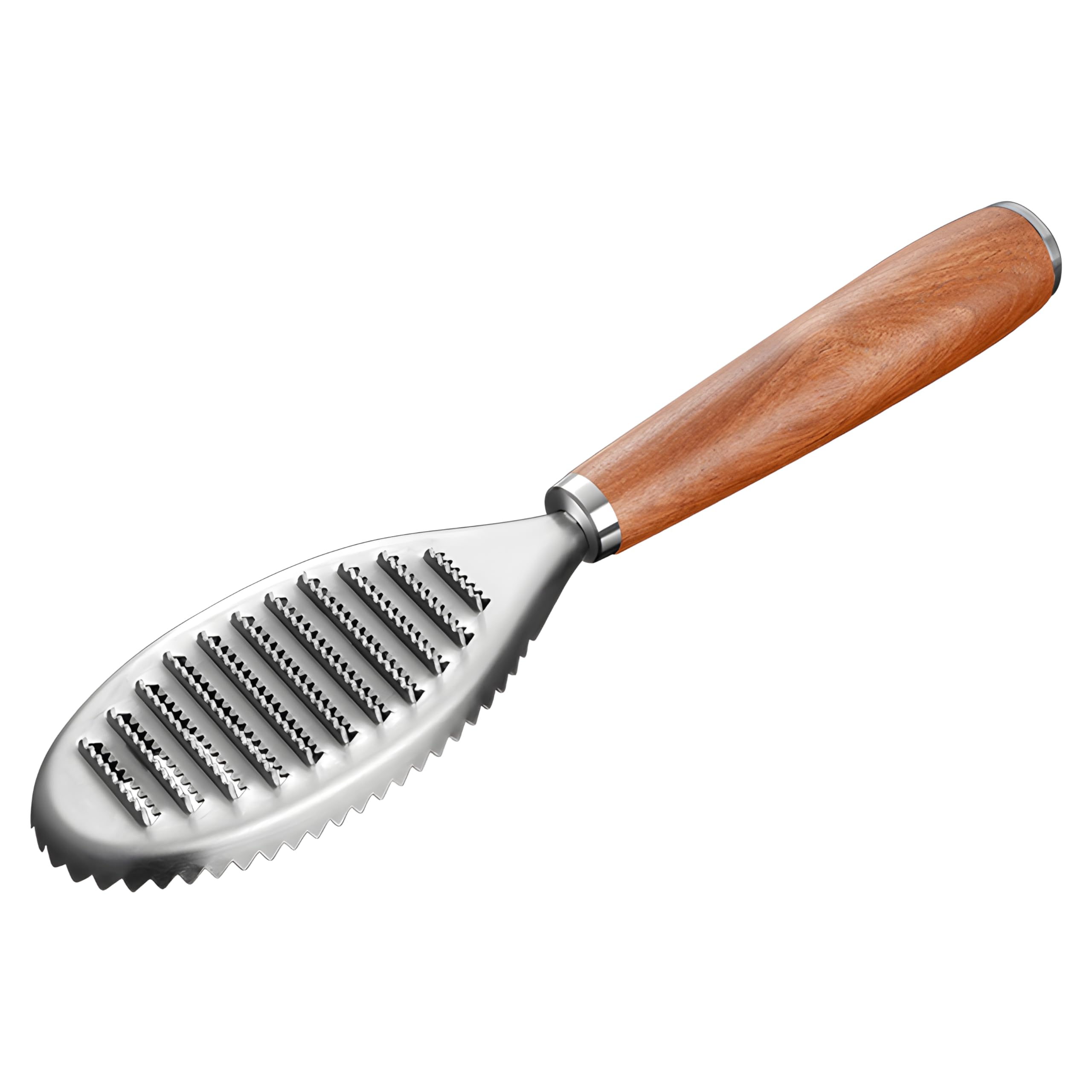 Amazon.com: Stainless Steel Fish Scale Remover, Manual Fish Scaler with ...