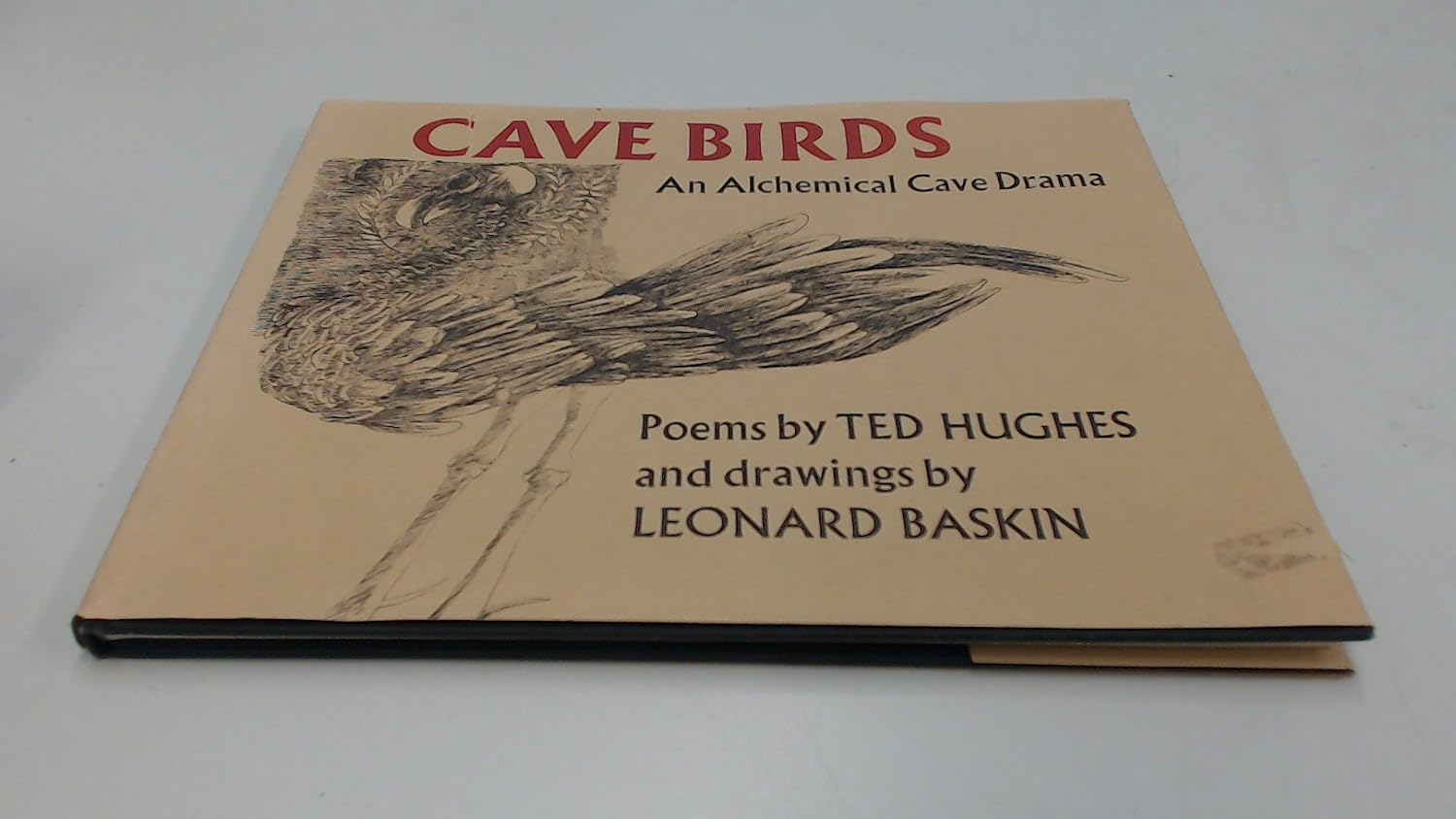 Buy Cave Birds: 2 Book Online at Low Prices in India | Cave Birds: 2 ...