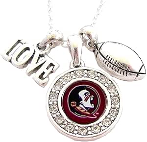 Amazon.com: Sports Accessory Store Florida State Seminoles FSU Multi ...