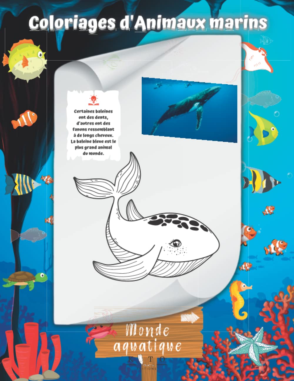 Buy Coloriages d'Animaux Marins: Colorie & Apprends sur les noms des ...